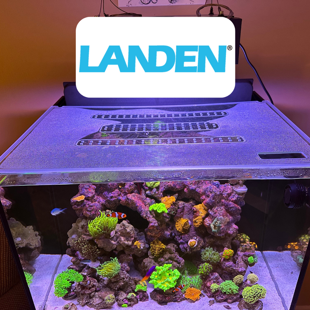 Best Aquarium Lids, Crystal Clear and Durable – Walter Lids