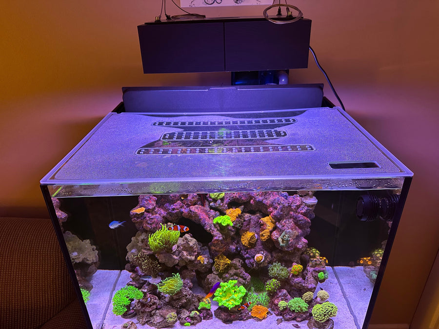 Best Aquarium Lids, Crystal Clear and Durable – Walter Lids