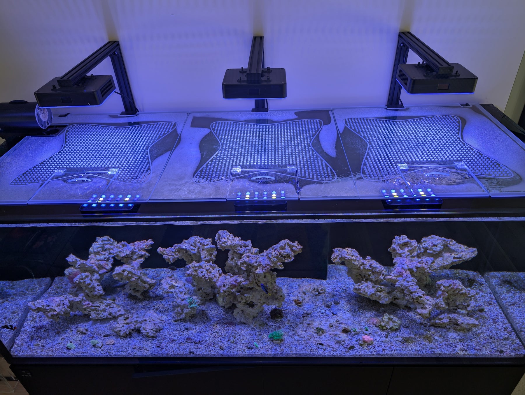 Best Aquarium Lids, Crystal Clear and Durable – Walter Lids