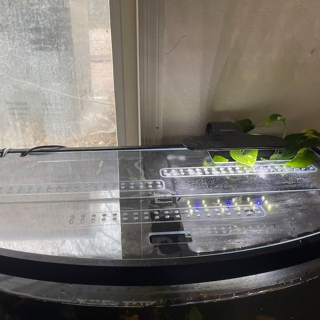 Best Aquarium Lids, Crystal Clear and Durable – Walter Lids